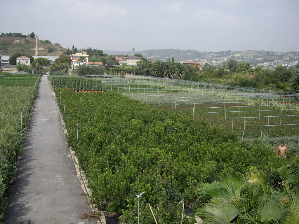 I Vivai « Piante Santori