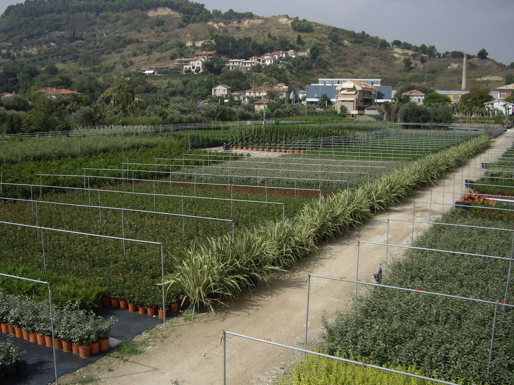 I Vivai « Piante Santori